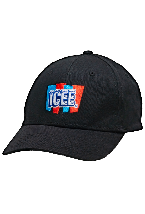 ICEE Swag – ICEE