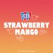 Flavors & Promotions – ICEE