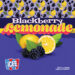 Flavors & Promotions – ICEE